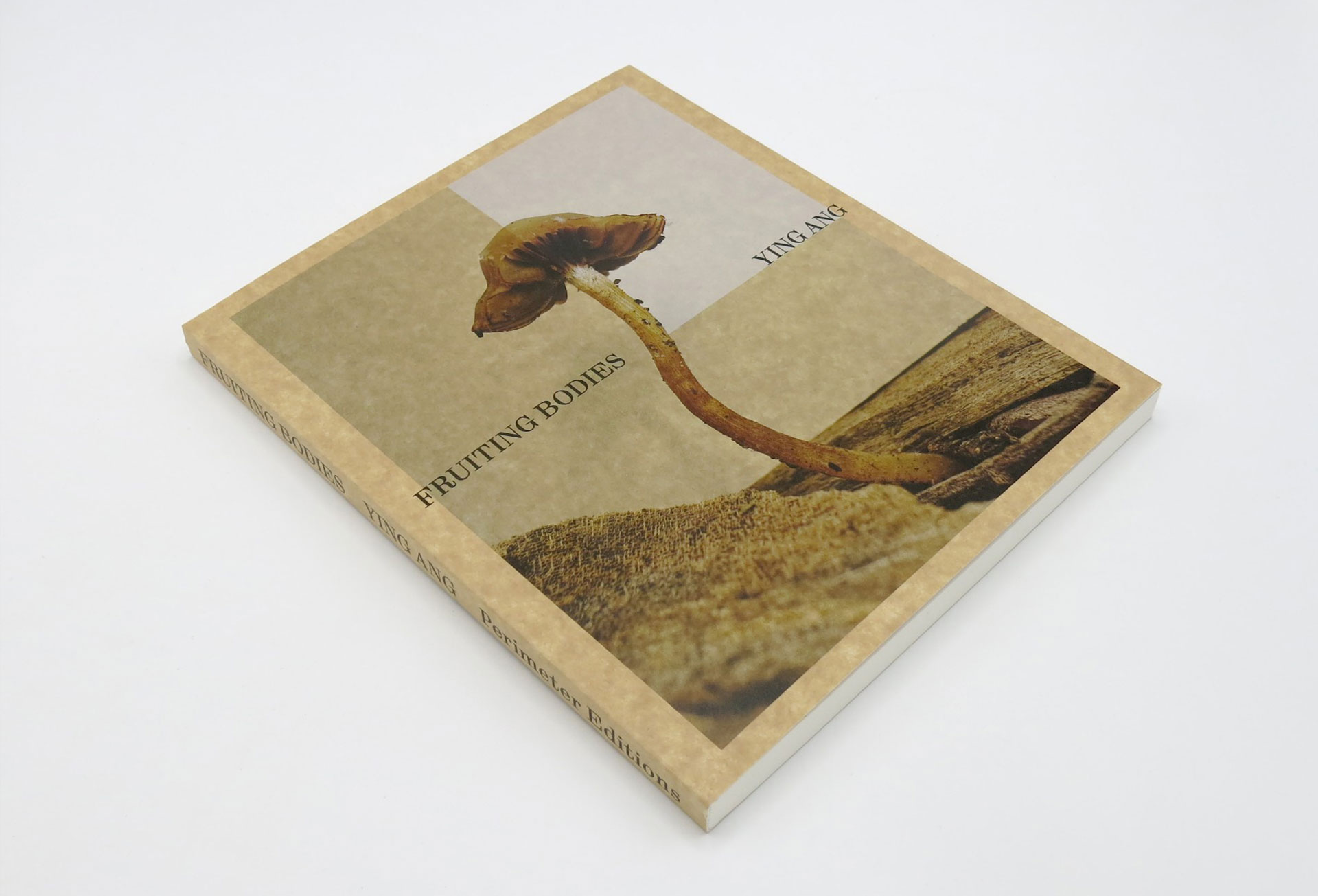 Art Guide Australia, Art Ink and Perimeter Books Tell us The Books we ...